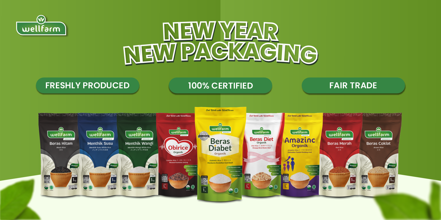 Peluang Usaha Beras Organik Dan Makanan Sehat